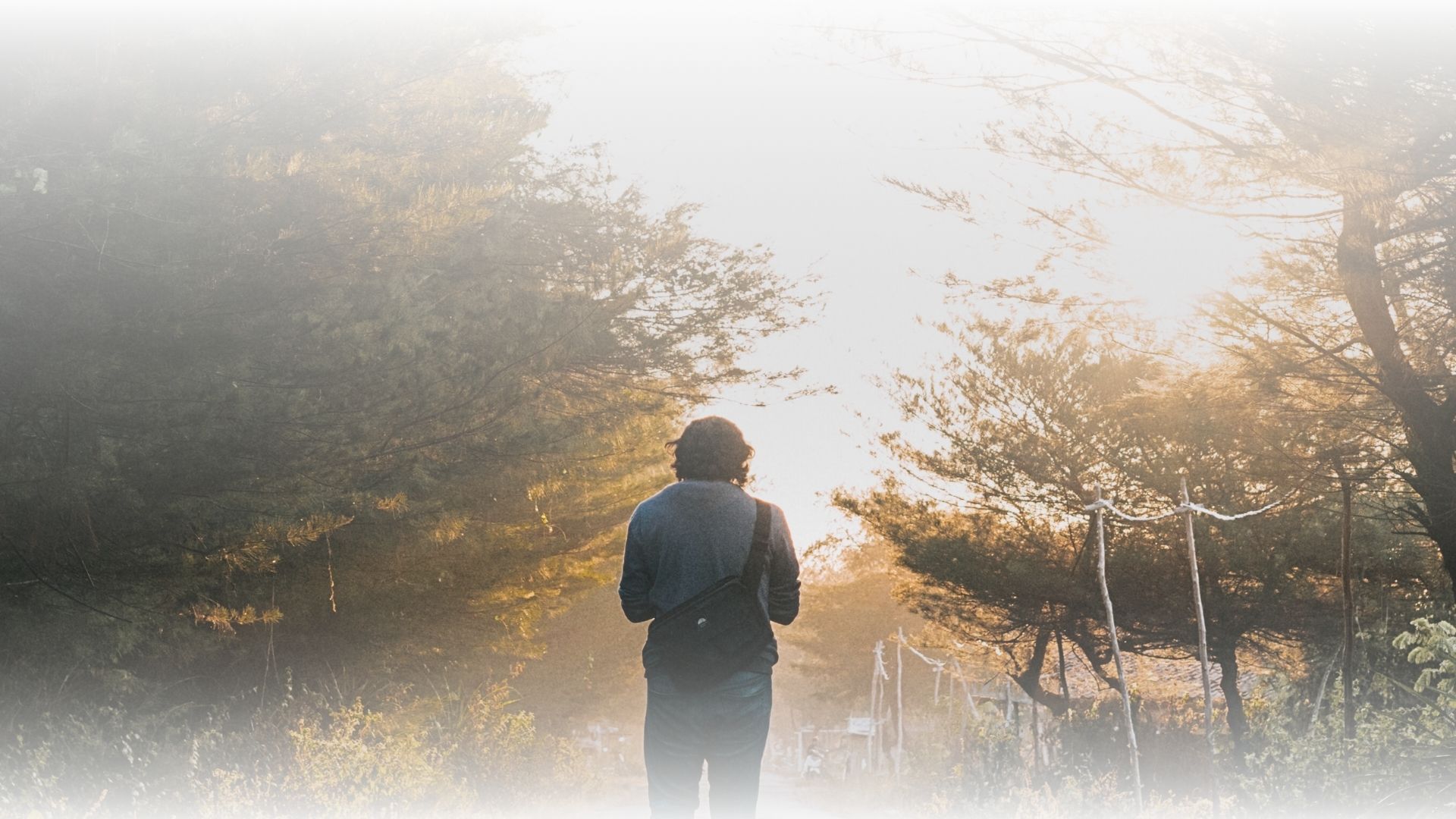 Rede Comuna - Rede Comuna